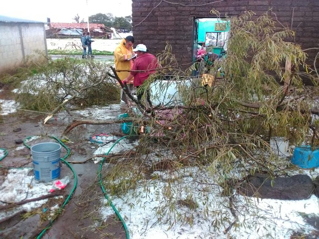 Tornado causó destrozos en El Tigre – El Reportero