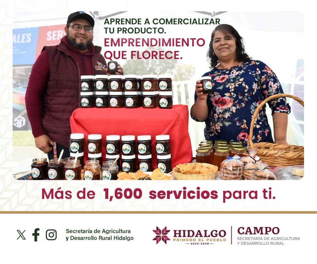 ITSOEH abre convocatoria de admisión 2025 – El Reportero